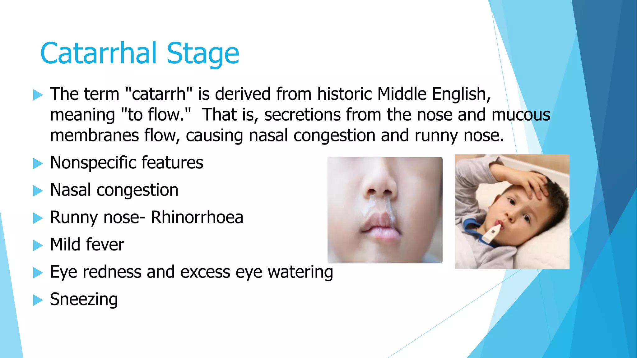 Partes Del Ensayo Escrito | Estructura Del Ensayo Ejemplos – AUQQB ...